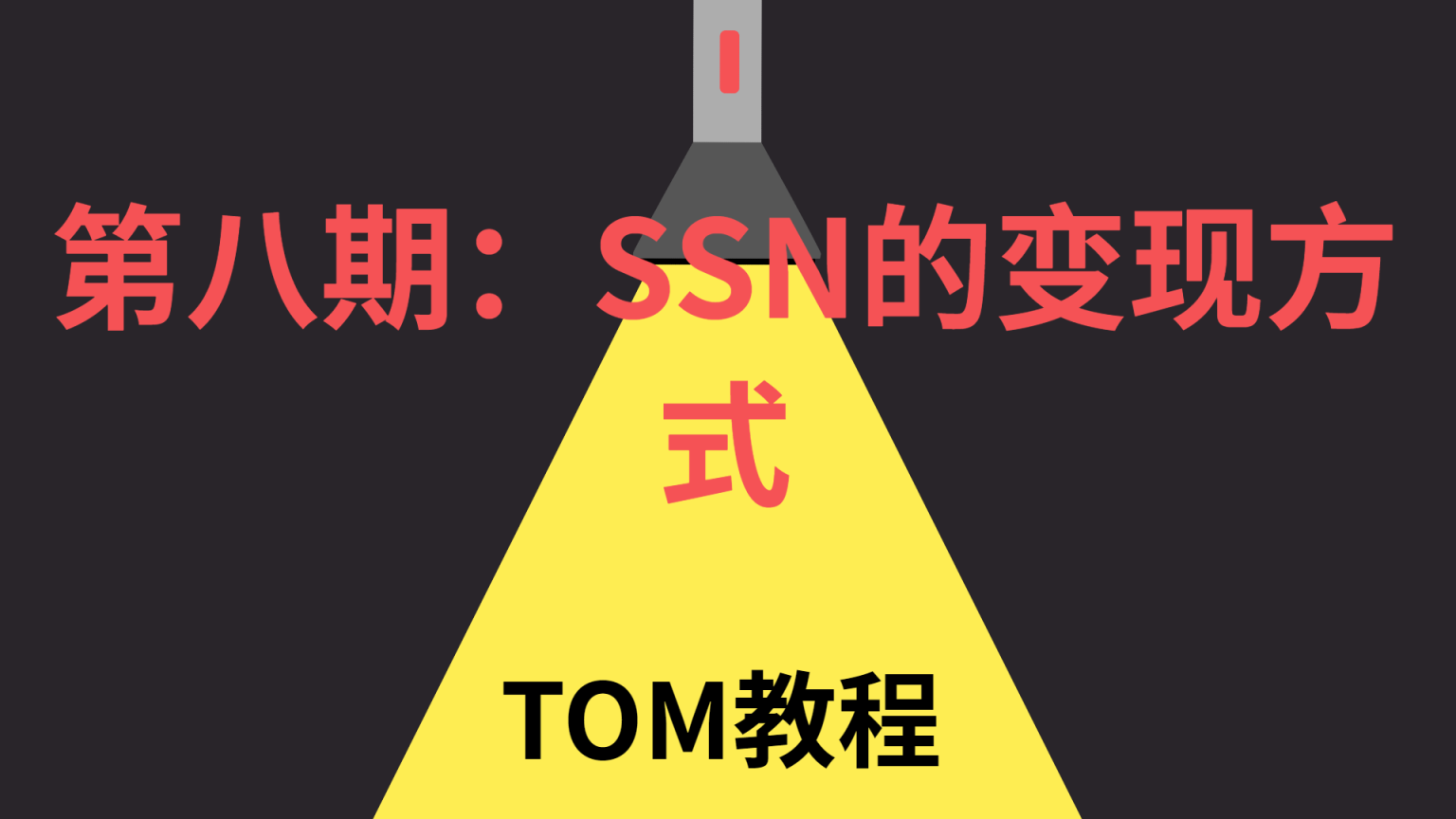 SSN变现 – TOM CVV教程